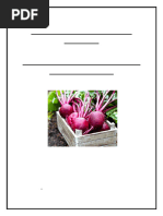 The Effect of Temperature On Membrane Permeability in Beetroot Cells ...