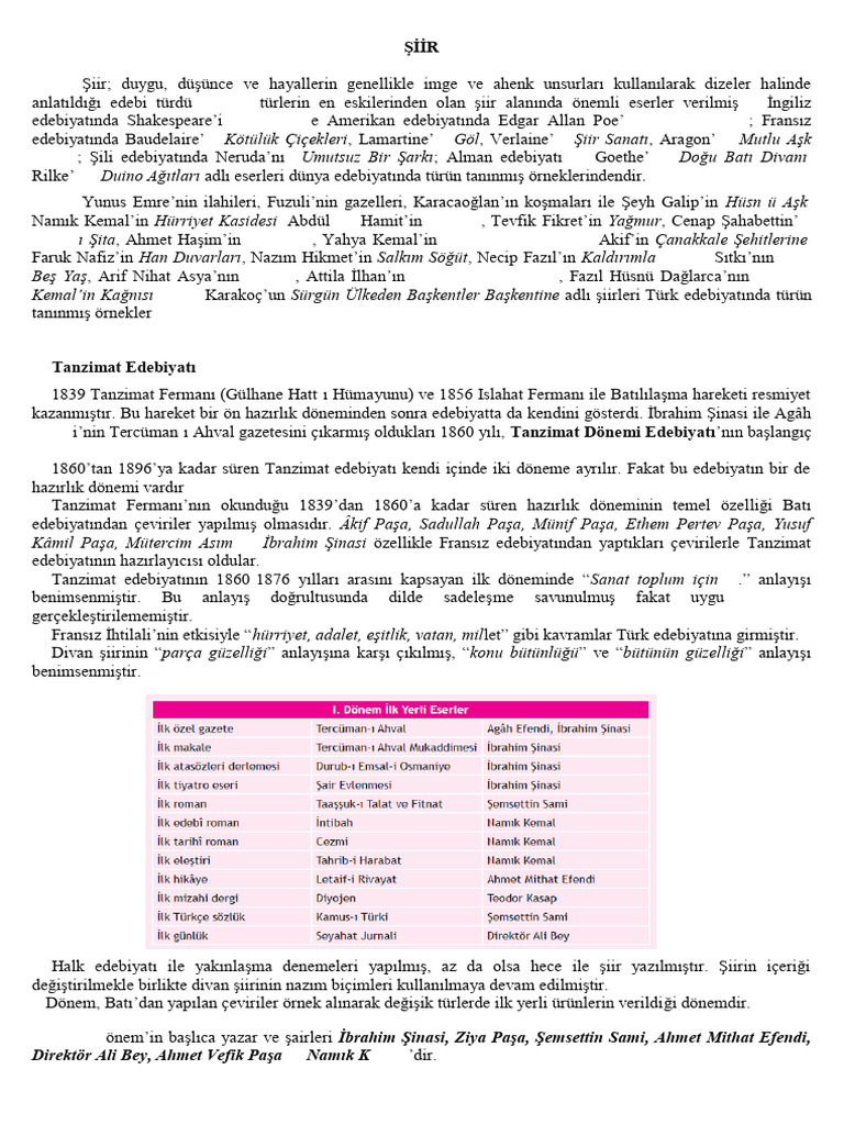 Tde 11 Şi̇i̇r | PDF