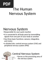 Science-Reviewer-3rd-Quarter For Grade 10 Biology | PDF | Motor Neuron ...