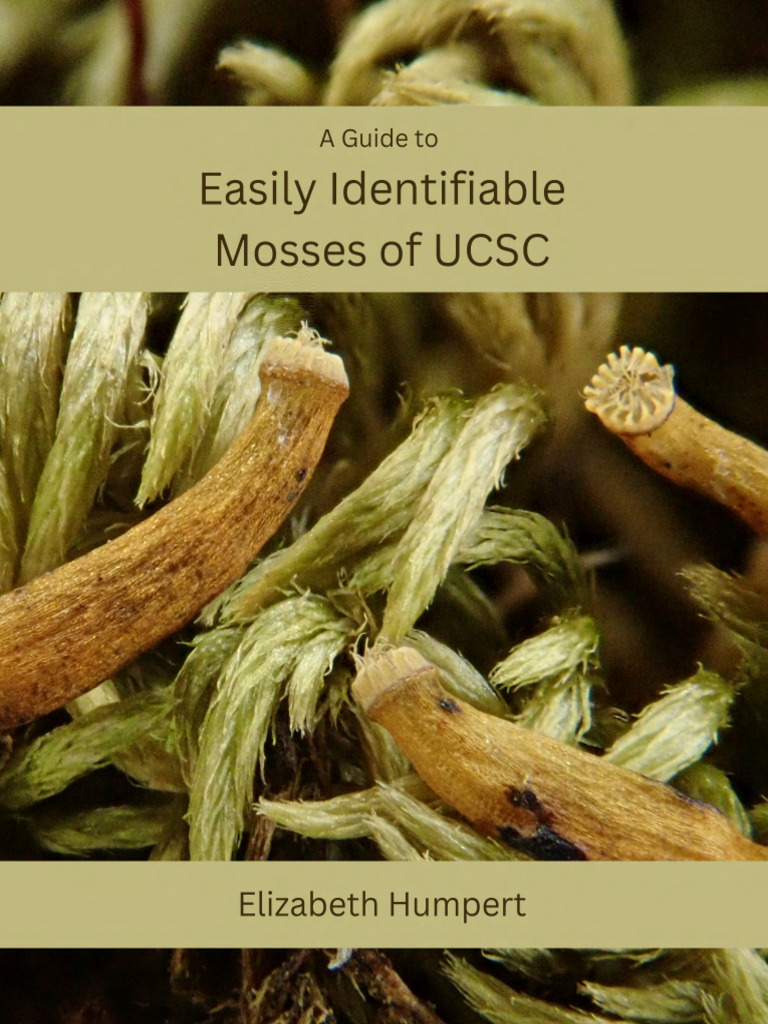 Moss Guide by Elizabeth Humpert | PDF | Sexual Reproduction | Moss