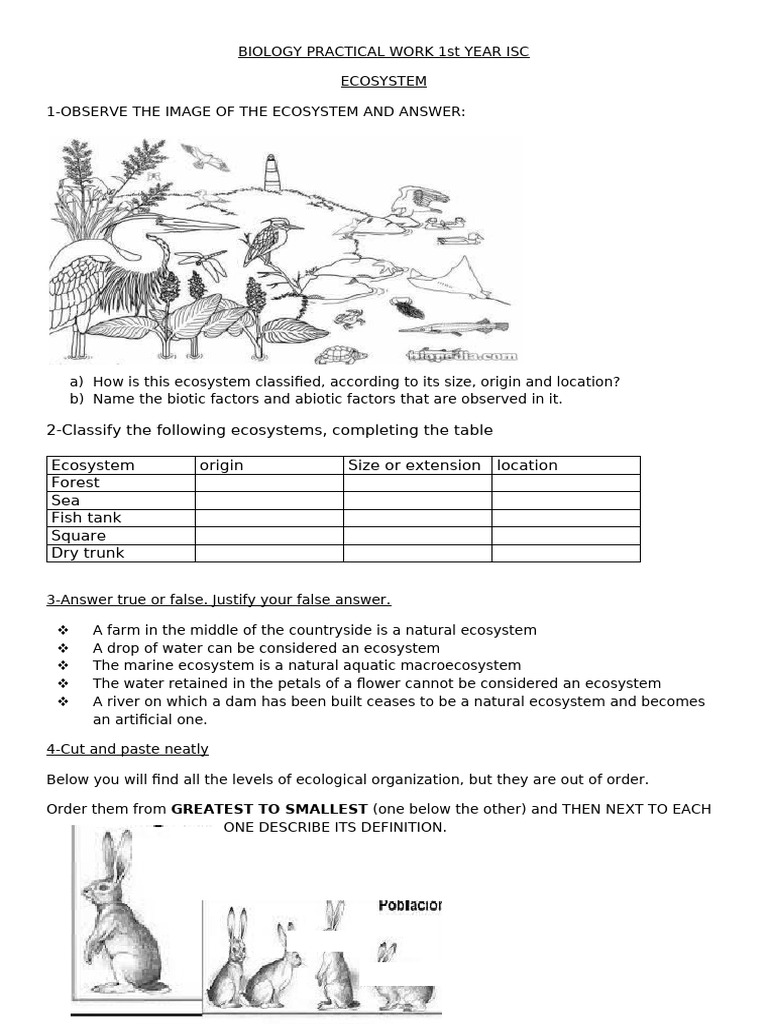 Practical Work On Ecosystem | PDF