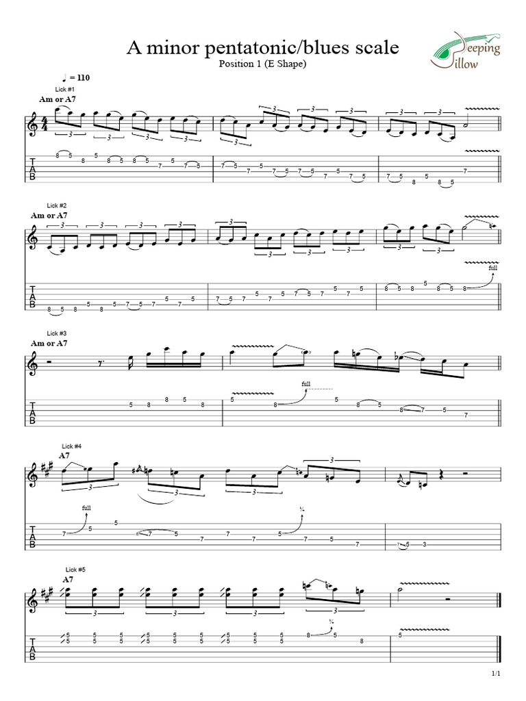 Minor Pentatonic and Blues Scale 25 Licks | PDF | Musical Scales ...
