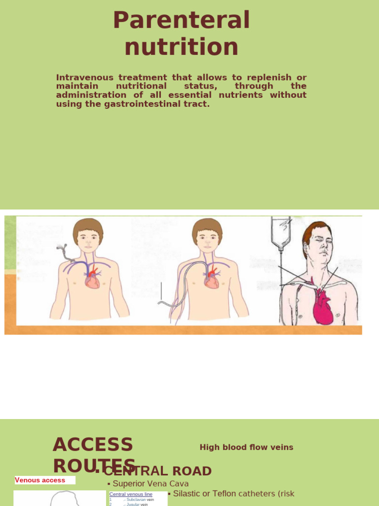 Parenteral Nutrition | PDF | Vein | Angiology