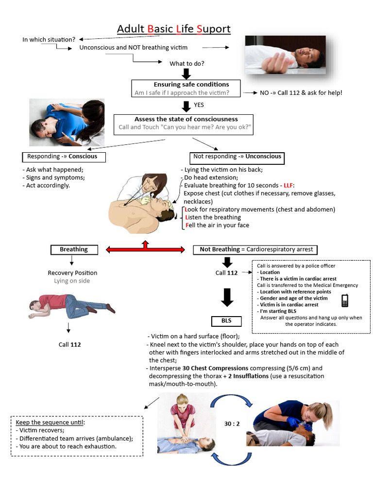 Basic Life Suport Adult | PDF | Medical Emergencies | Clinical Medicine