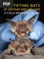 Bto Bird Species Codes | PDF