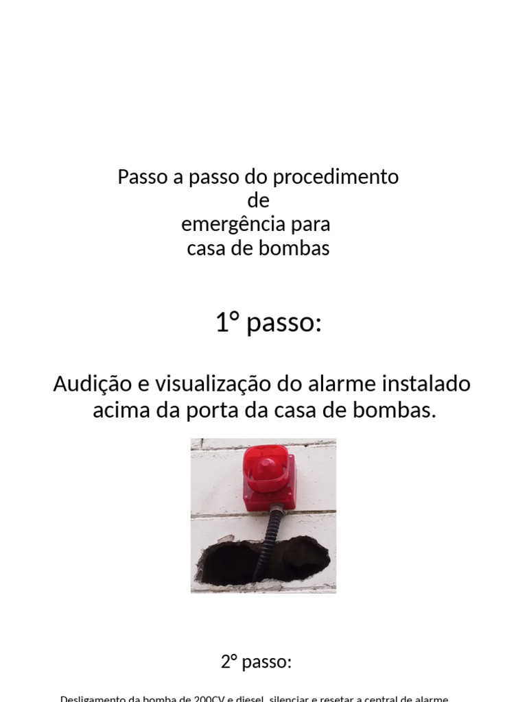 Passo A Passo Do Procedimento | PDF