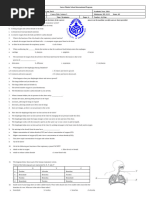 Respiratory System Worksheet | PDF | Lung | Breathing