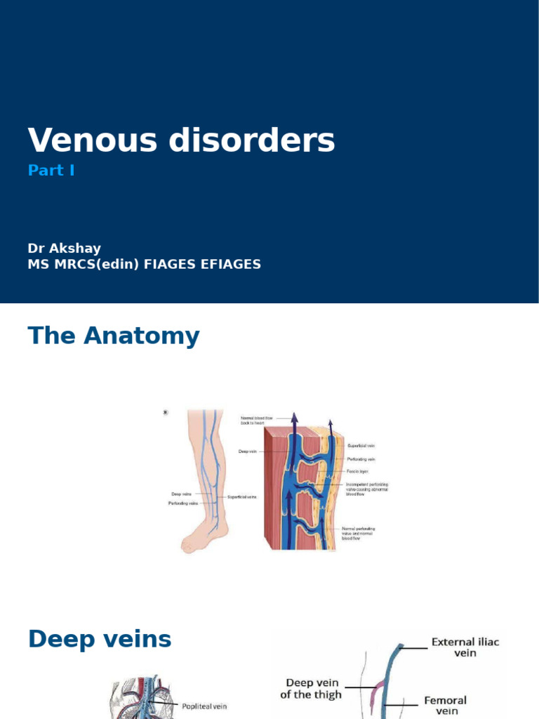 Presentation 4 | PDF | Vein | Animal Anatomy