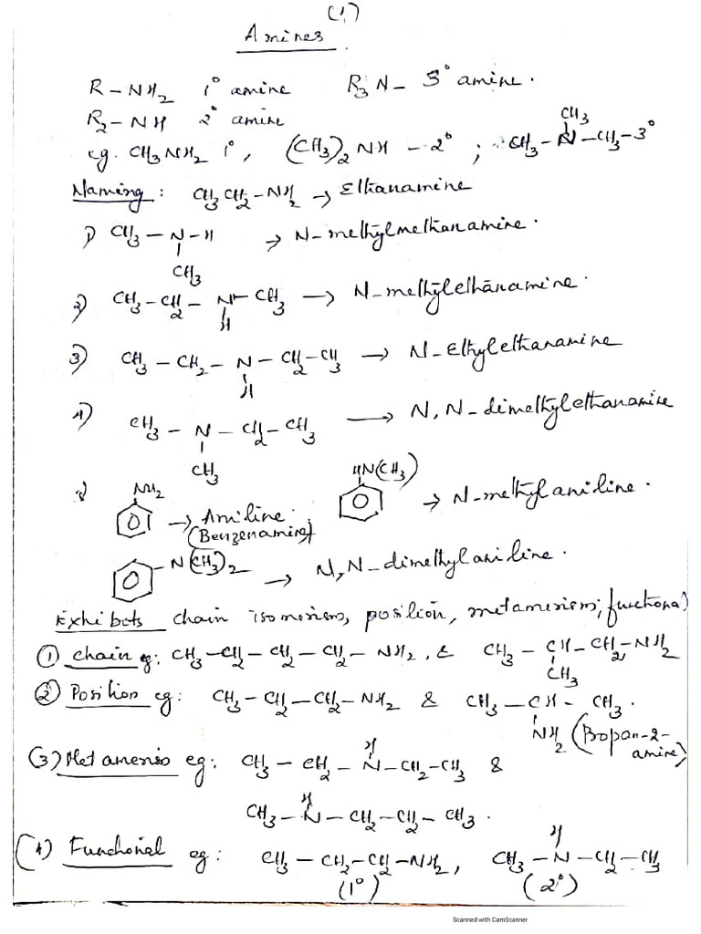 Amines Notes | PDF