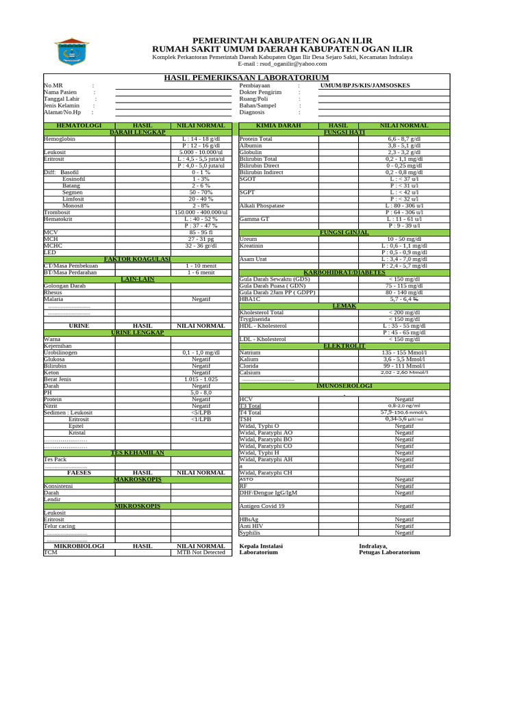 Lembar Hasil Lab Rsud Oi | PDF