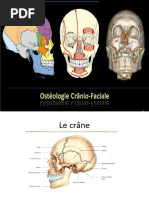 Anatomie du diaphragme stylien | PDF | Tête et cou chez l'humain ...