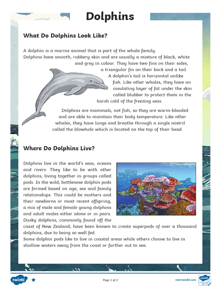 Dolphins Reading Comprehension - Async Task | PDF | Dolphin | Cetacea