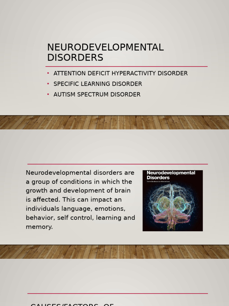 Understanding Neurodevelopmental Disorders | PDF | Attention Deficit ...