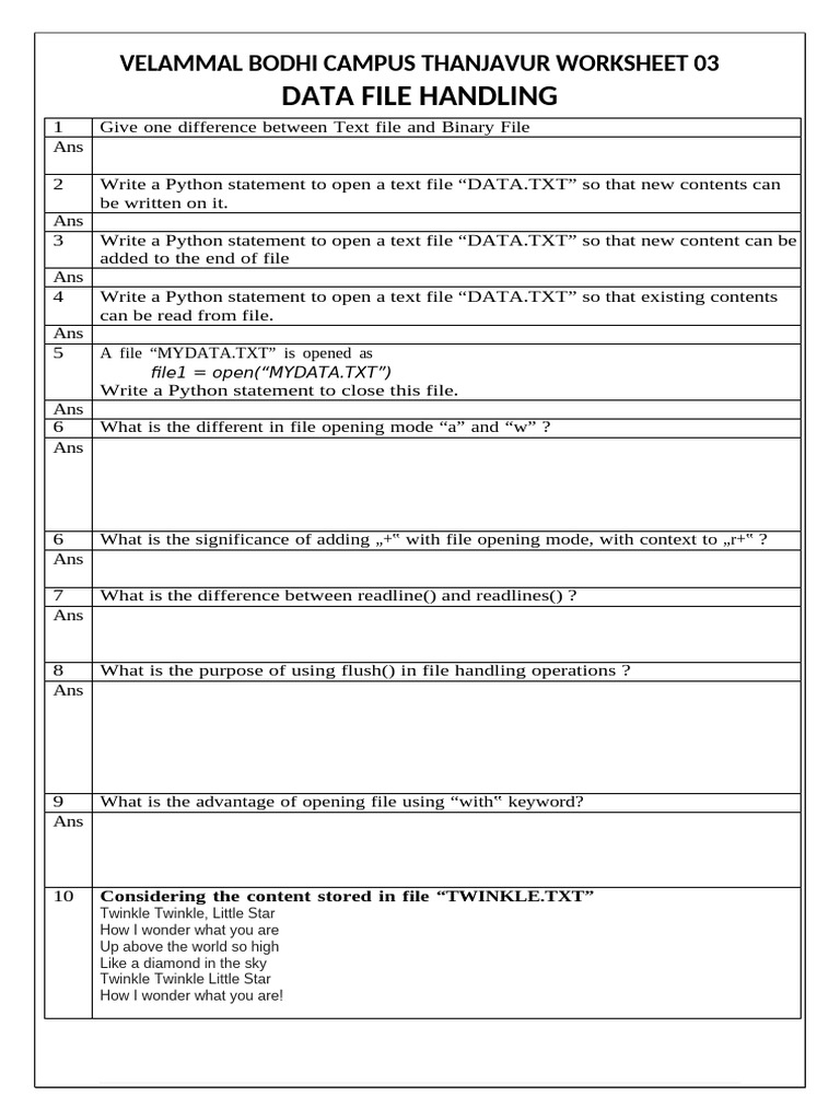 Worksheet Filehandling 12.12.2024 | PDF | Text File | Computer File