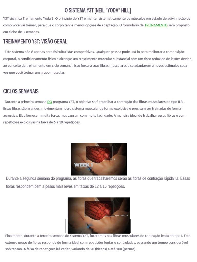 Sistema de Treinamento Y3t | PDF | Proteínas | Músculo