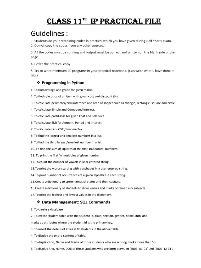 Class 11 IP Practical Copy Questions | PDF