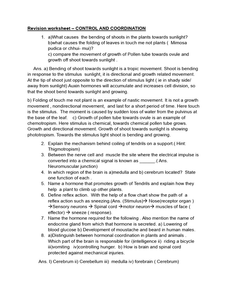 Control and Coordination Work Sheet | PDF | Hormone | Endocrine System