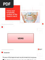External Vs Internal Jugular Vein | PDF | Vein | Human Anatomy