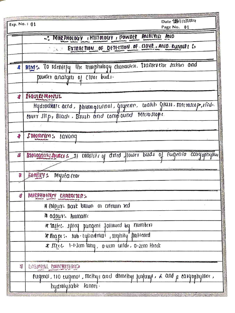 Cognosy Exp 1,2,3 | PDF