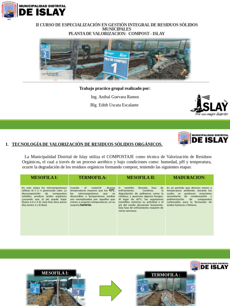 TRABAJO PRACTICO GRUPAL | PDF | Compost