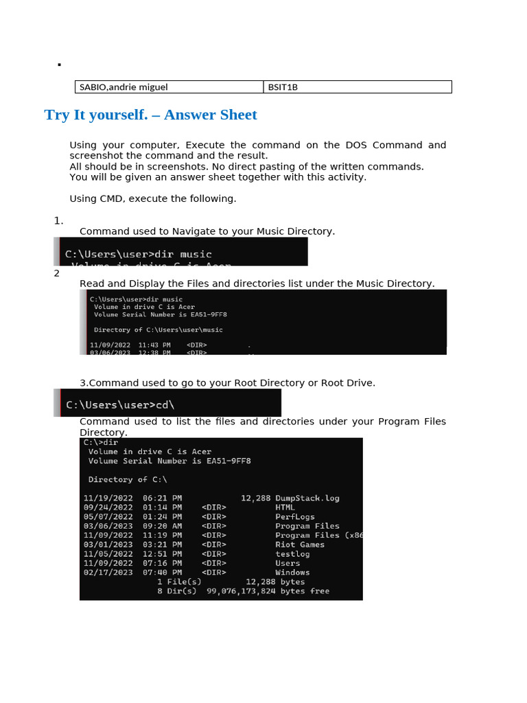 SABIO - Laboratory Activity 3 | PDF