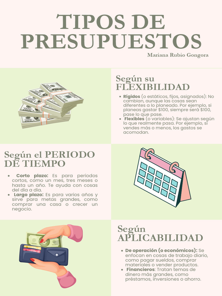 Infografía Tipos de Presupuestos - Actividad 3 PDF | PDF | Presupuesto | Economias