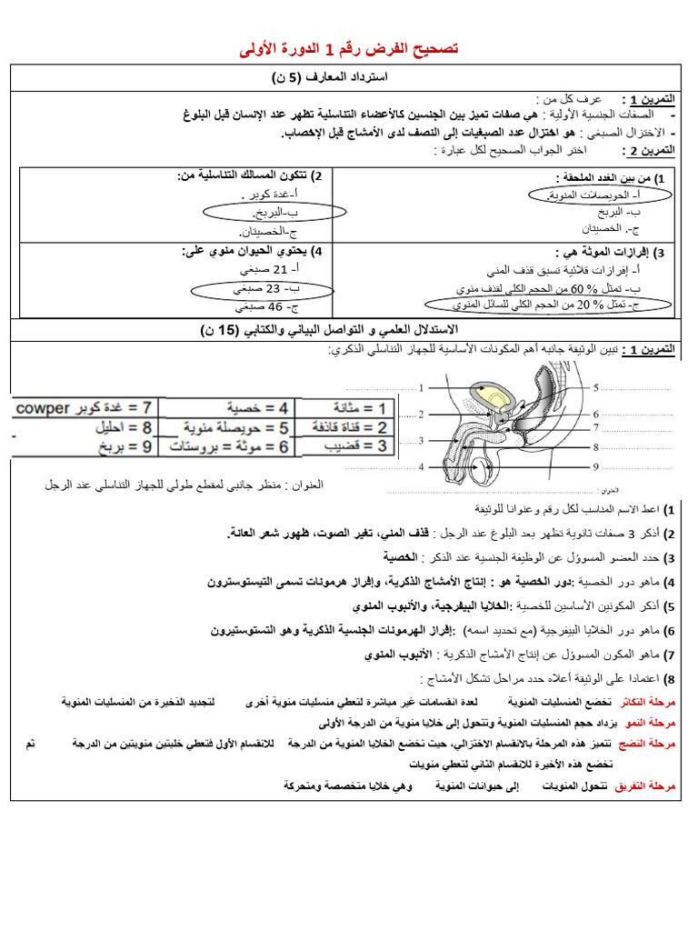 Correction de Contrôle 1 Semestre 1 A 1bac Lettre | PDF