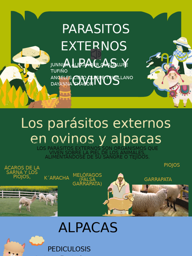 Introduction To Sequences Education Presentation in Green Cream ...