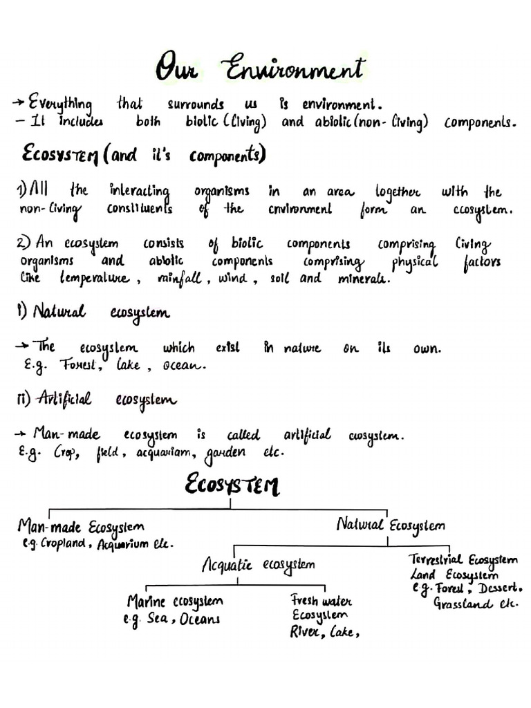 Bio Our Environment Class X | PDF