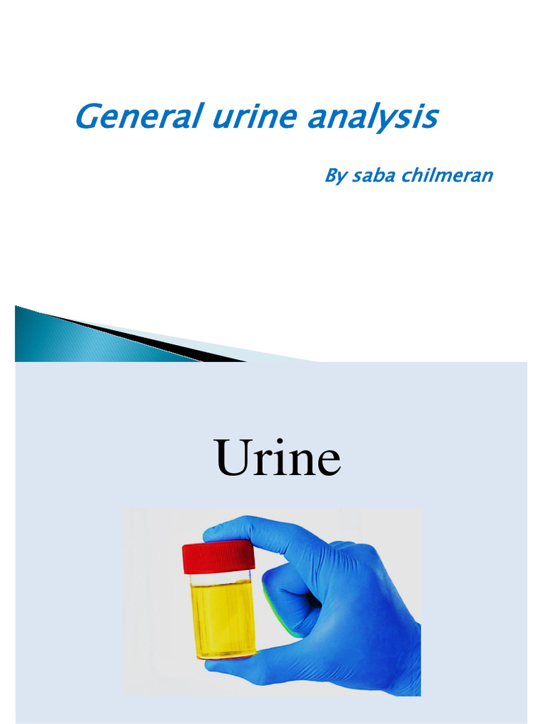 مختبر urine⁩ (2) | PDF | Urine | Kidney