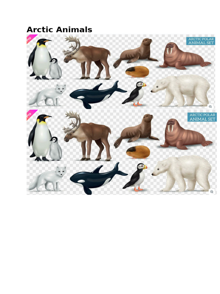Arctic Animals | PDF