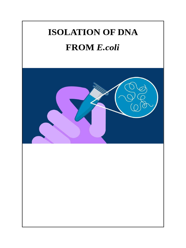 Bio Project Isolation of DNA From E. Coli | PDF | Proteins ...