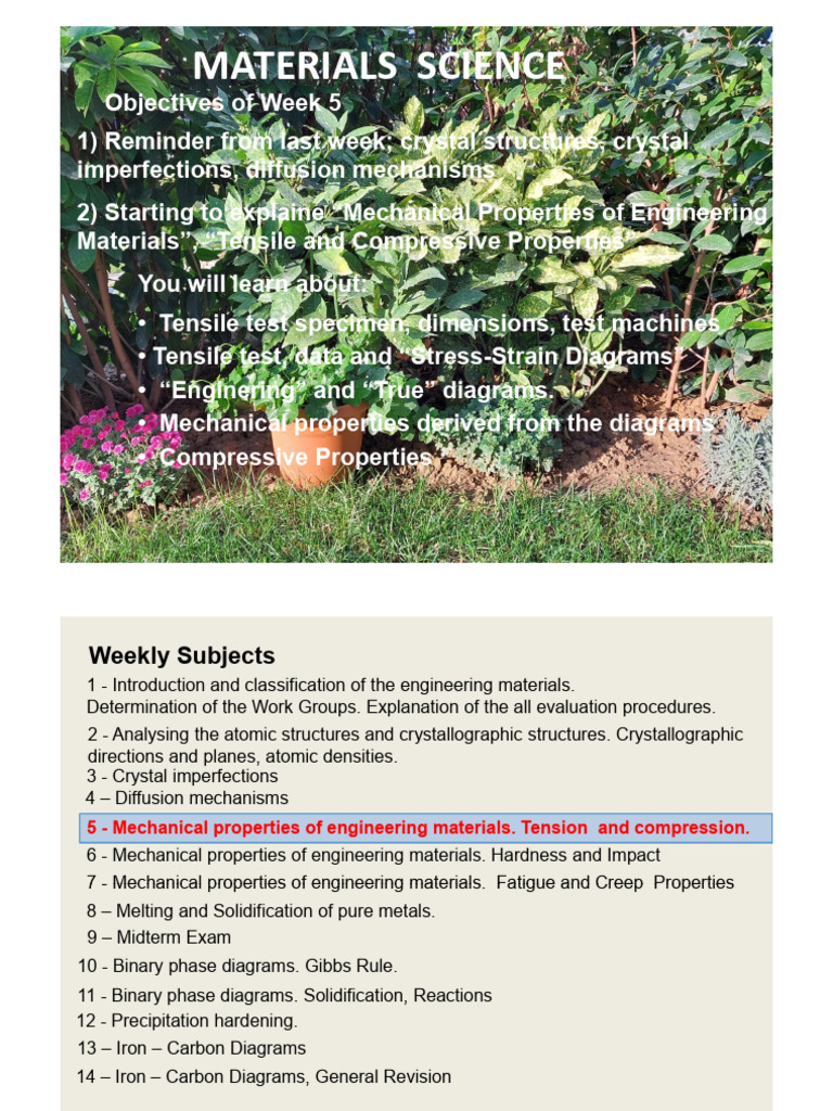 Week 5 Doc 1 | PDF