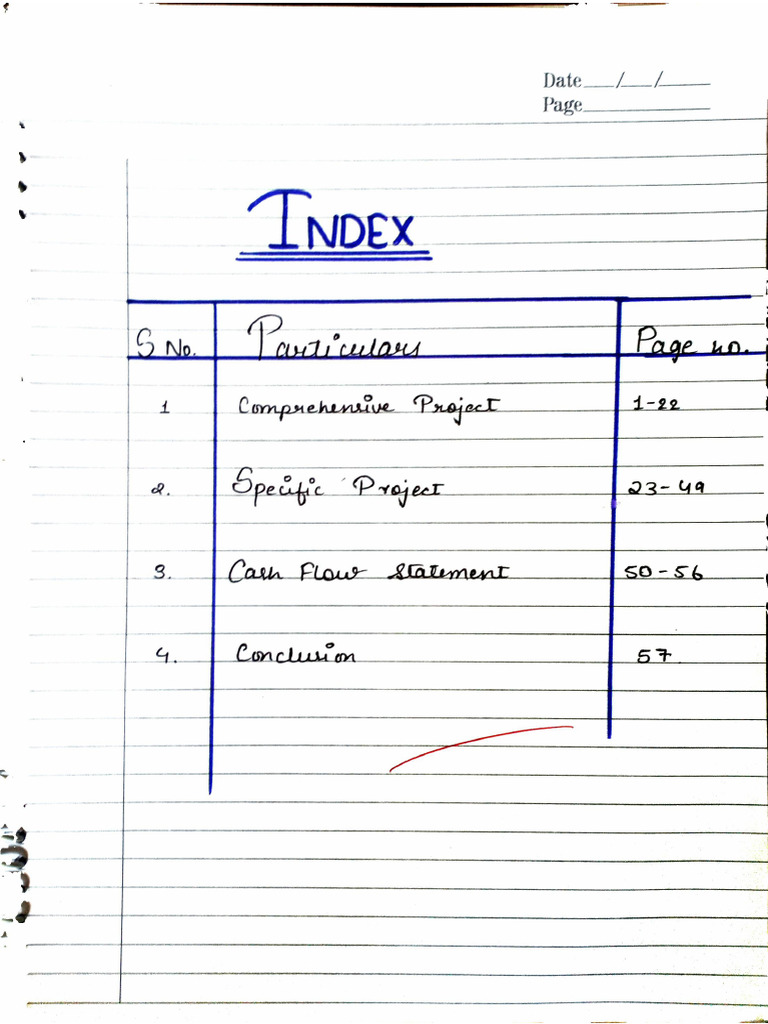 Accounts Project | PDF