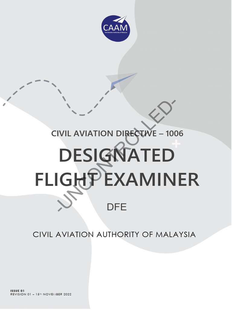 CAD 1006: Designated Flight Examiner Standards | PDF | Flight ...