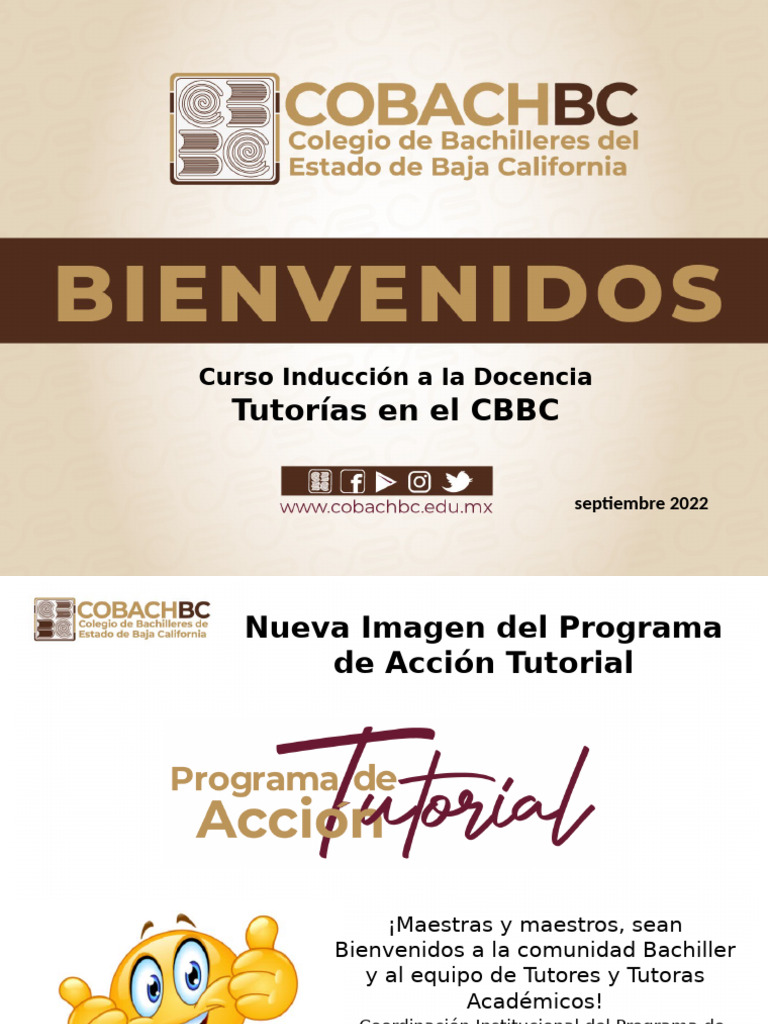 Programa de Acción Tutorial en CBBC | PDF | Maestros | Aprendizaje