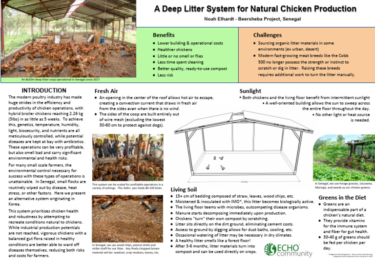 A Deep Litter System For Natural Chicken Production | PDF | Poultry ...
