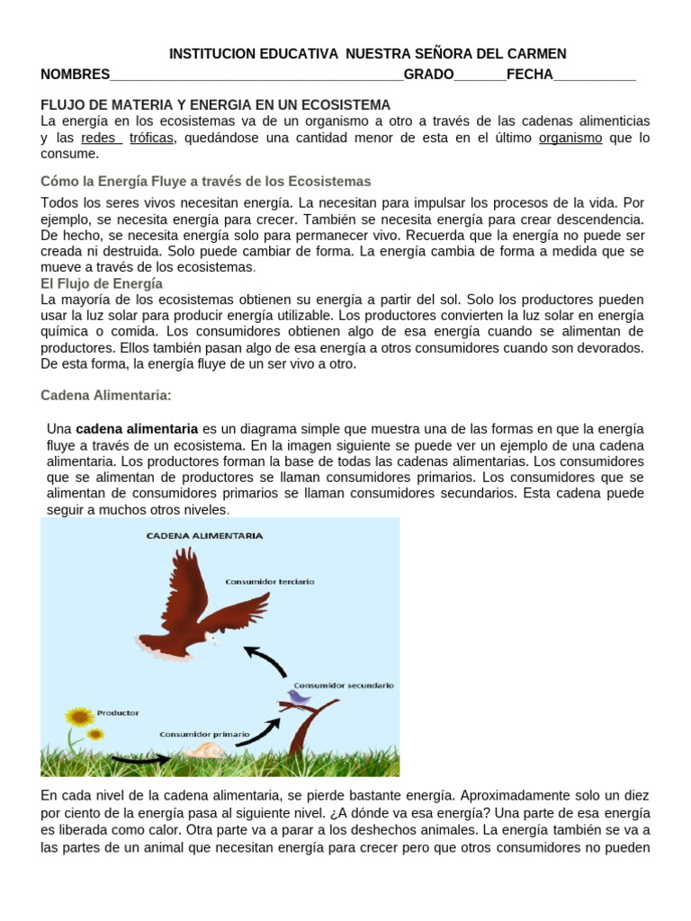 guia de grado 10 ecosistemas | PDF | Red alimentaria | Biología