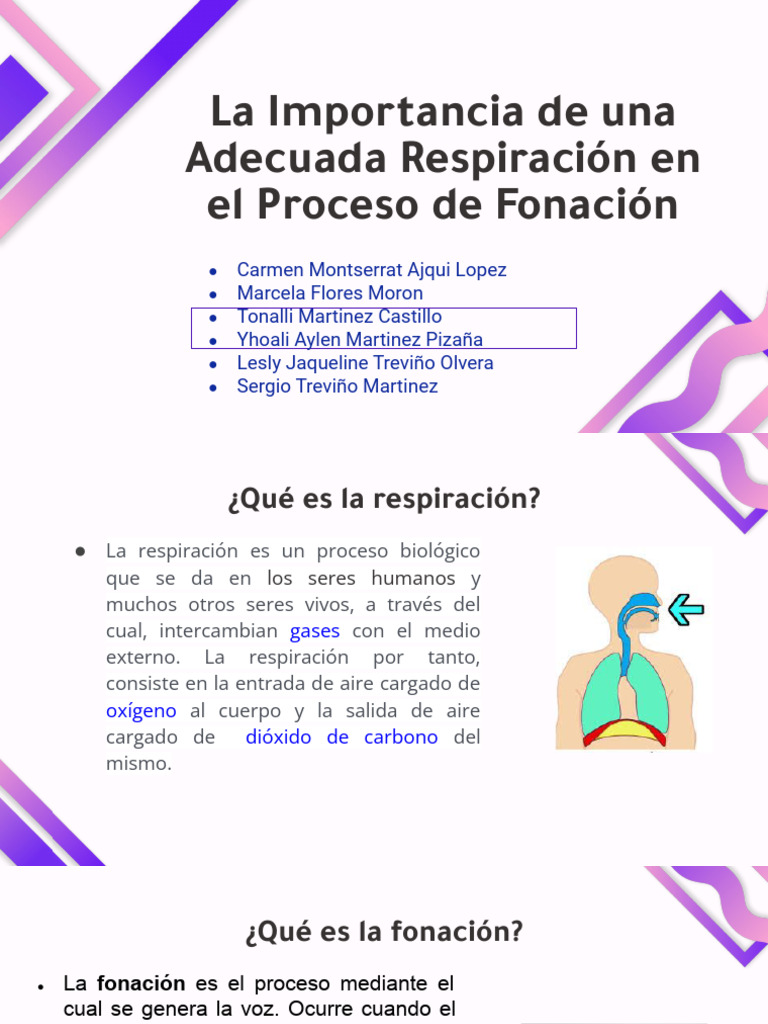 3.5 La Importancia de Una Adecuada Respiración en El Proceso de ...