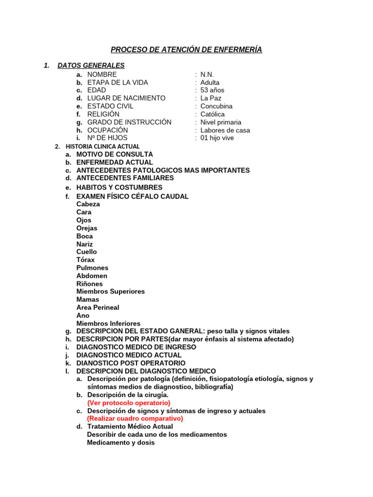 Formato de Pae | PDF