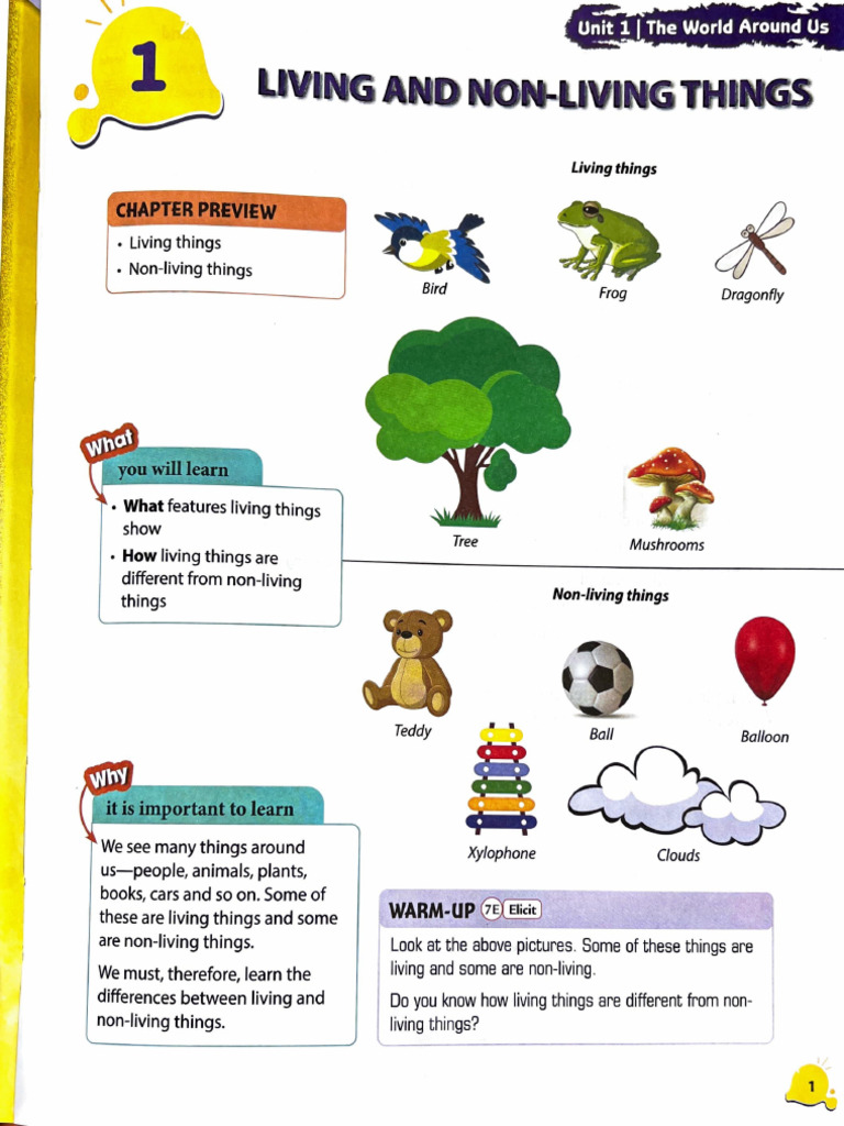 Living vs Non-Living Things: Chapter 1 | PDF | Plants | Organisms