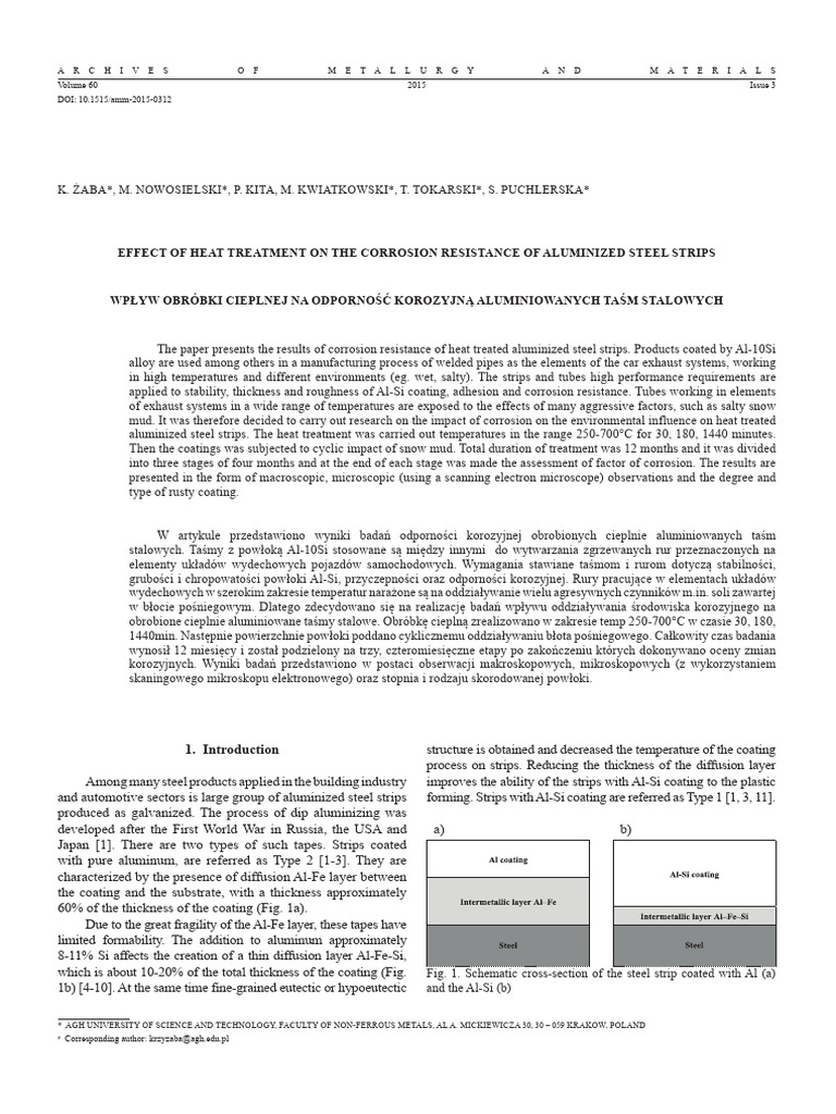 Zaba Effect AMM 3A 2015 | PDF | Corrosion | Aluminium