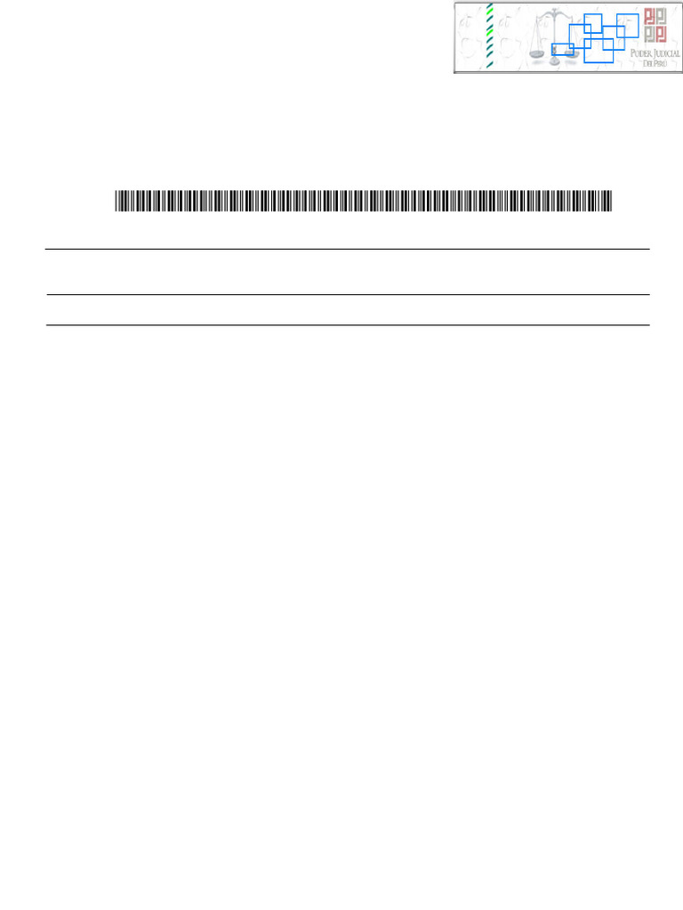 Exp. 00025-2024-0-3103-JP-CI-01 - Consolidado - 00028-2025 | PDF | Ley ...