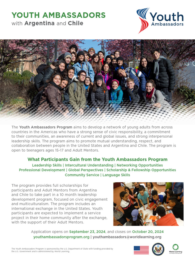 Youth Ambassadors Program 2024-25 | PDF | Civic Engagement | Social ...