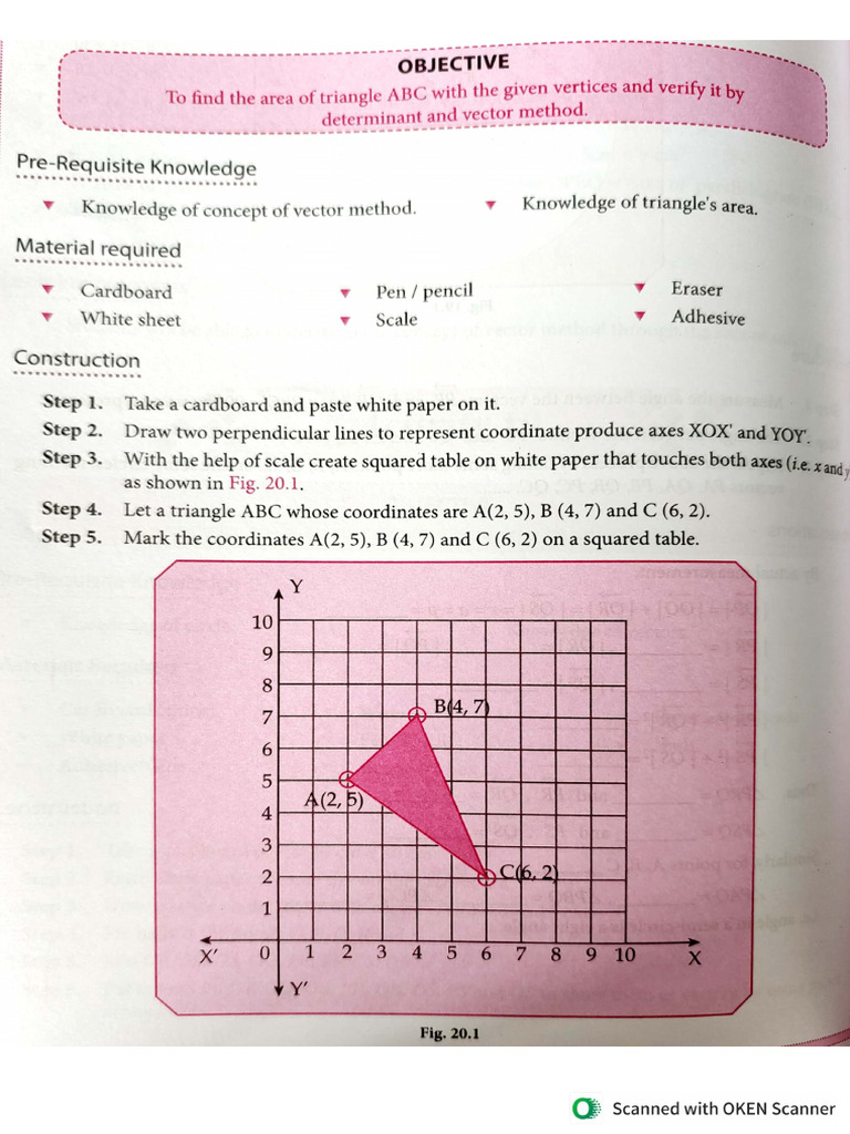 XII - Activity 8 - Mathematics | PDF
