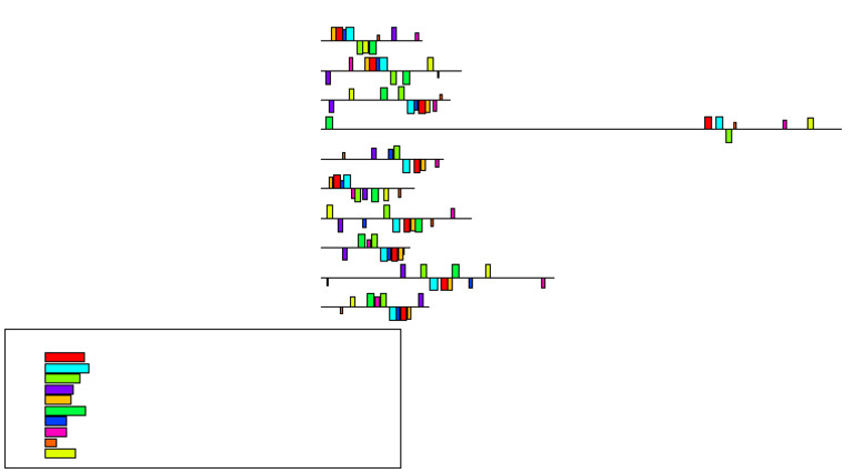 Motif Locations and Consensus Data | PDF