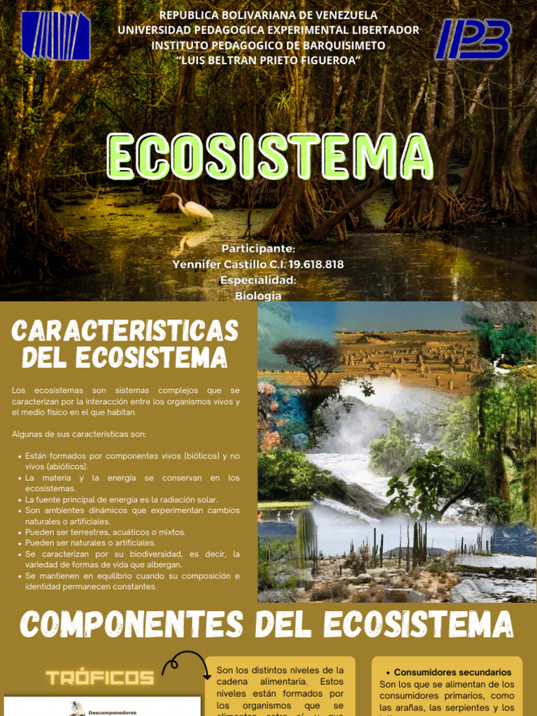 Ecosistema Yennifer Castillo | PDF | Ecosistema | Ecosistema acuático