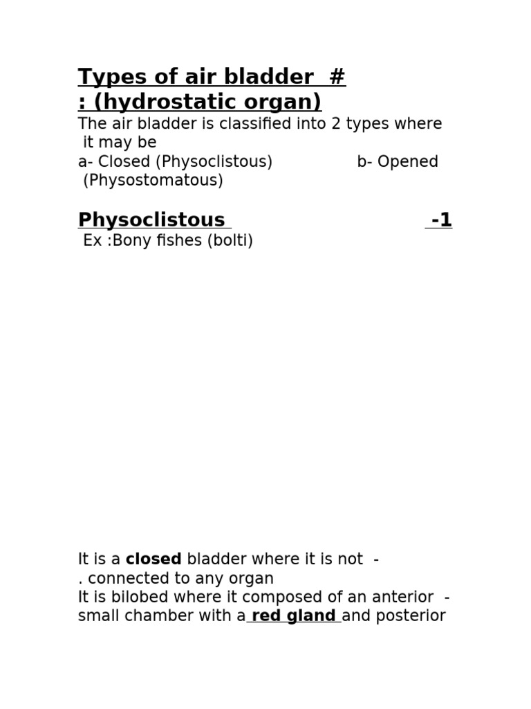 Types of air bladder | PDF