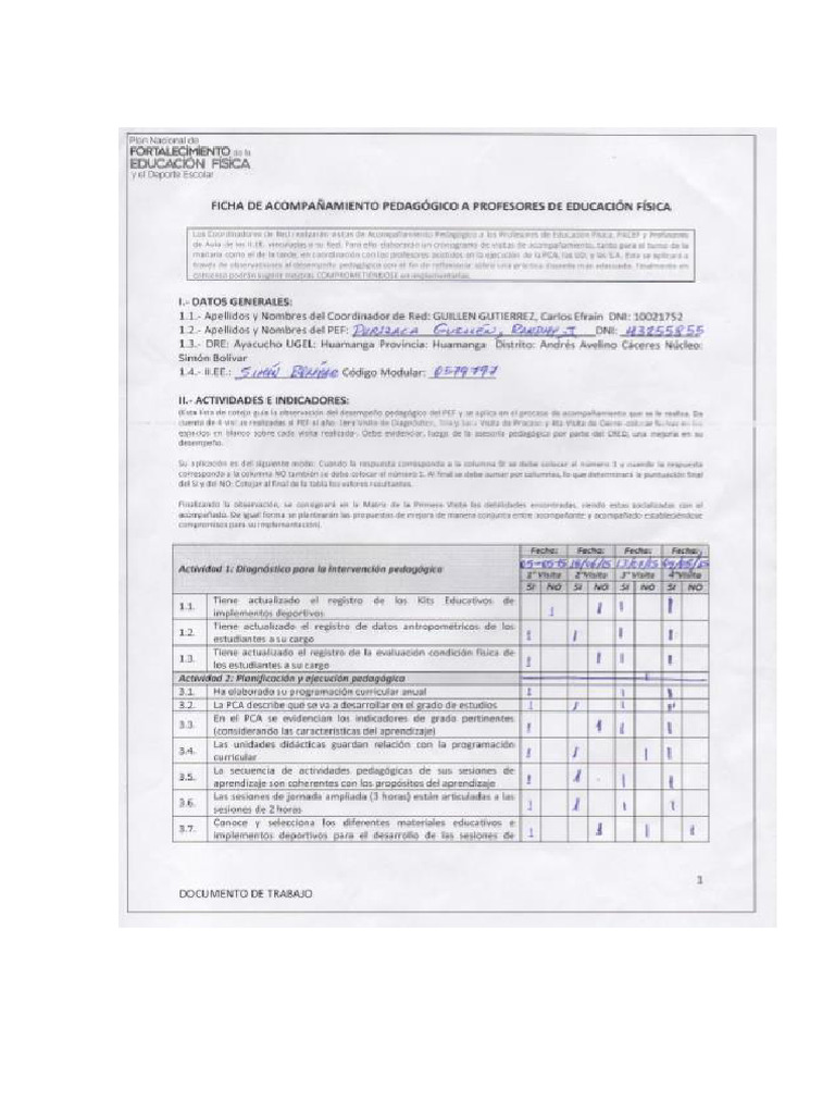 Ficha de Acompañamiento Pedagogico de Prof. de Educ. Fisica | PDF