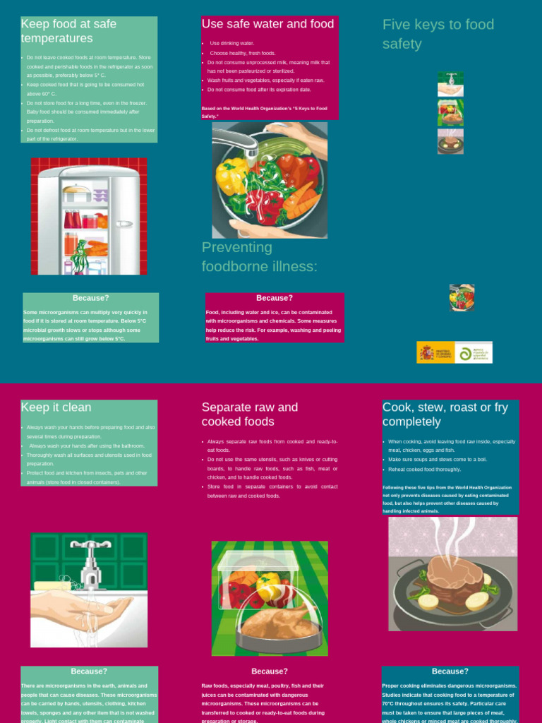 Triptych Five Keys To Food Safety | PDF | Foods | Meat